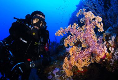 Exploring Oceans | National Geographic Society
