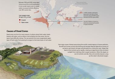 Anatomy of a Dead Zone | National Geographic Society