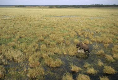 floodplain | National Geographic Society