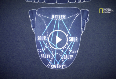 A Matter of Taste | National Geographic Society