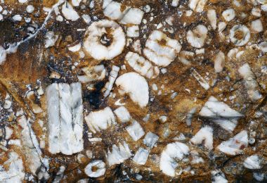 The Permian Extinction—When Life Nearly Came to an End | National ...