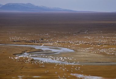 coastal plain | National Geographic Society