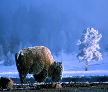 Geography-Rich Classroom | National Geographic Society