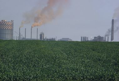 Human Impacts on the Environment | National Geographic Society