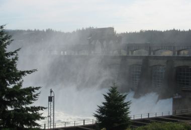 Fish Tale | National Geographic Society