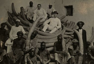 The History of the Ivory Trade | National Geographic Society