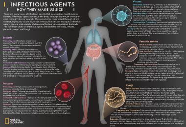 Infectious Agents | National Geographic Society