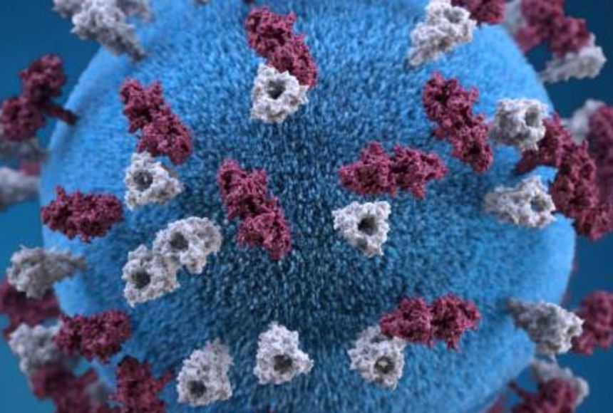 How the Measles Virus Became a Master of Contagion | National ...
