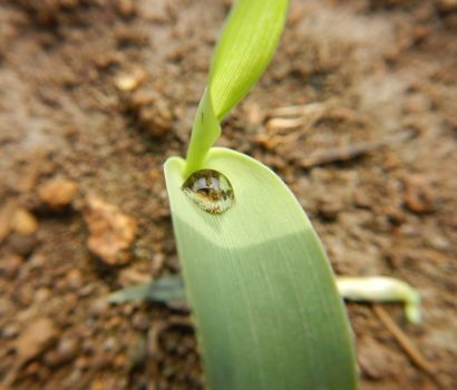 Geography-Rich Classroom | National Geographic Society