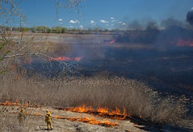 Land Management Declined as Native Americans were Displaced | National ...