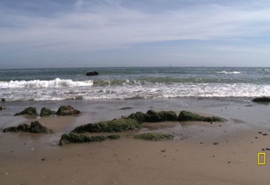 Explaining Waves | National Geographic Society