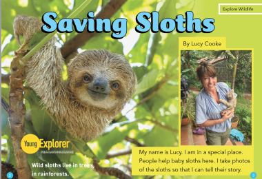 Saving Sloths | National Geographic Society