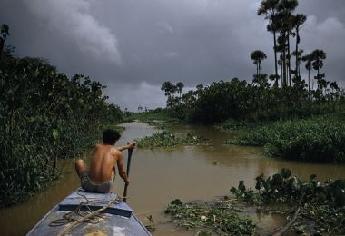 Amazon | National Geographic Society