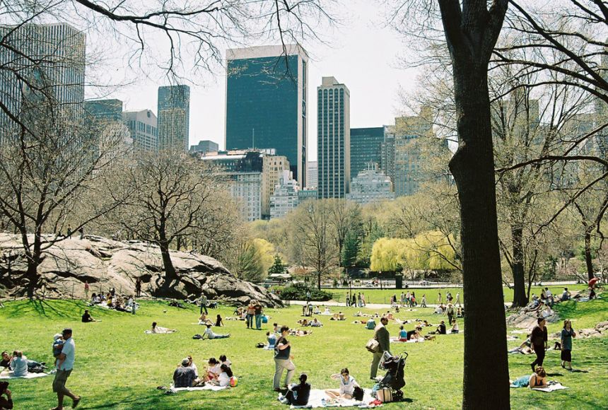 Finding Urban Nature | National Geographic Society