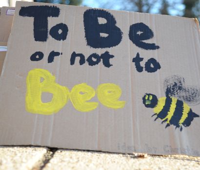 Campaign to Save Endangered Species | National Geographic Society