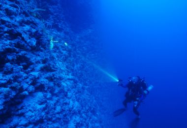 Ocean Explorer Michael Lombardi | National Geographic Society