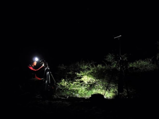 Explorers Who Are Turning Bat Perceptions Upside Down