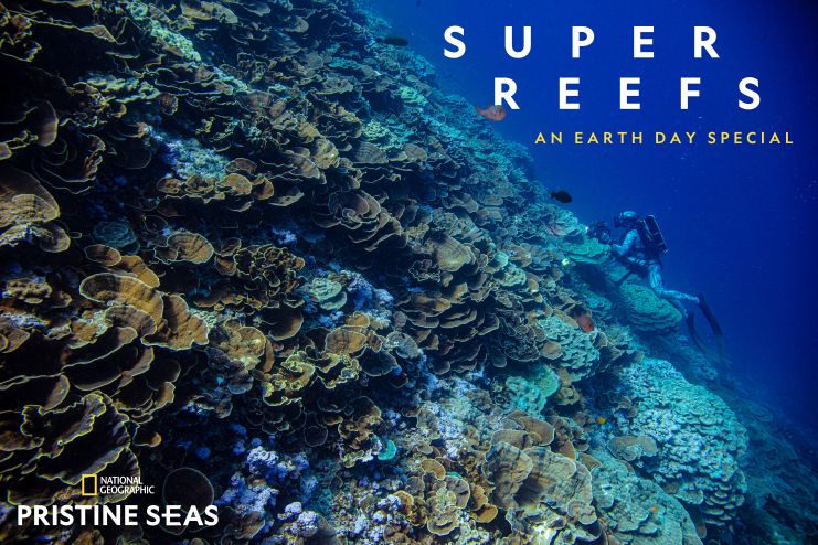 As the world copes with coral bleaching, new documentary “Super Reefs ...