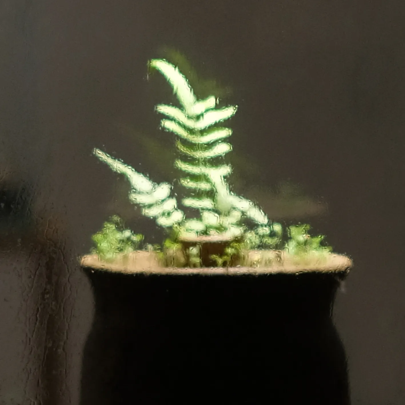 Transitory Nature of Earthly Joy - Tumurun Museum