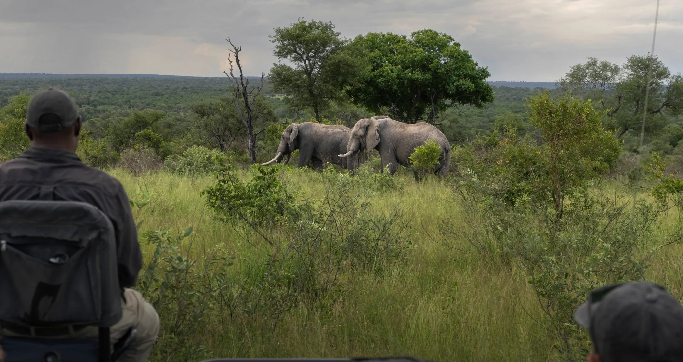 Offers & Deals | Lion Sands | MORE Family Collection