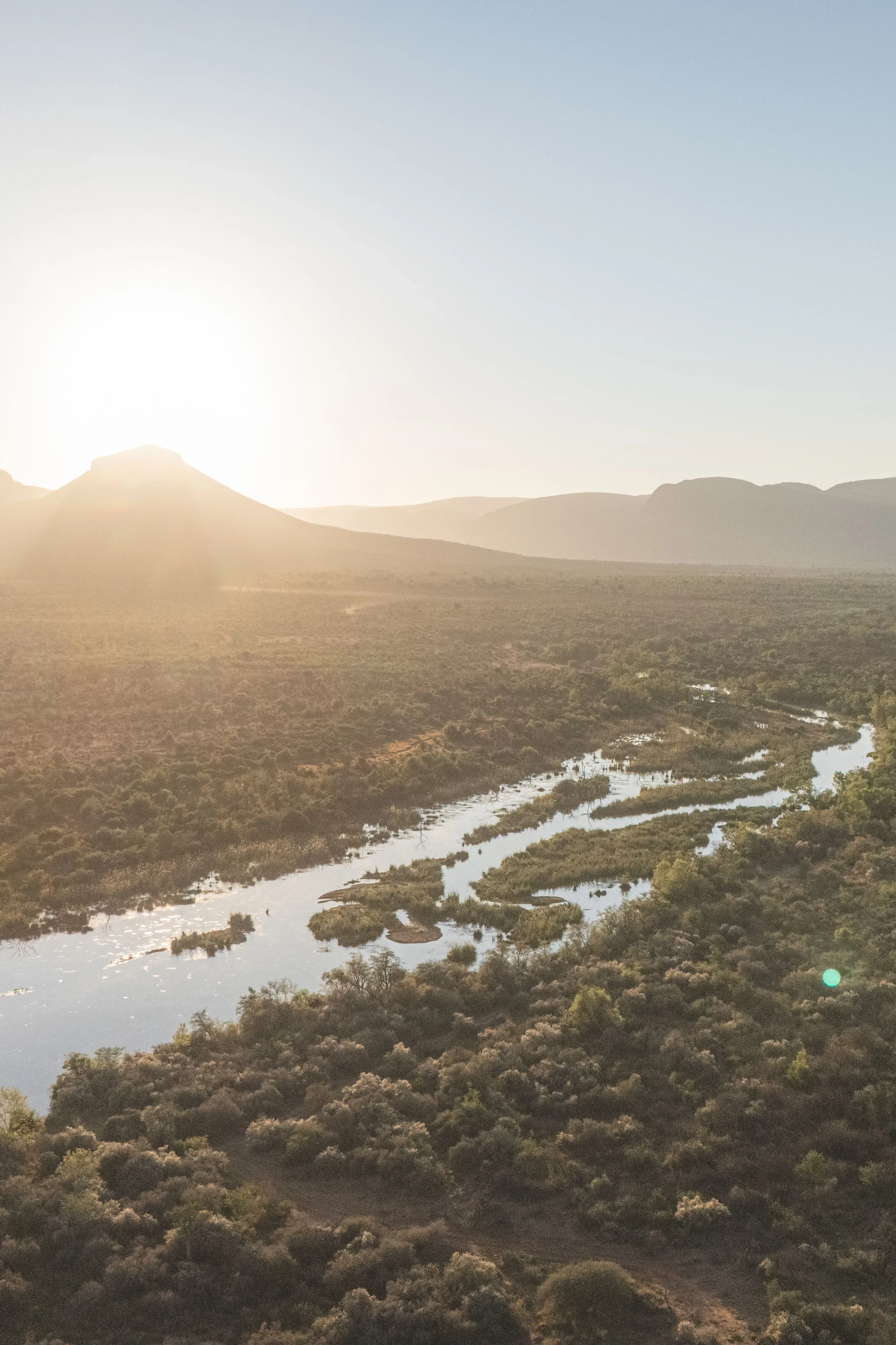 Marataba Safari Lodge | MORE Family Collection