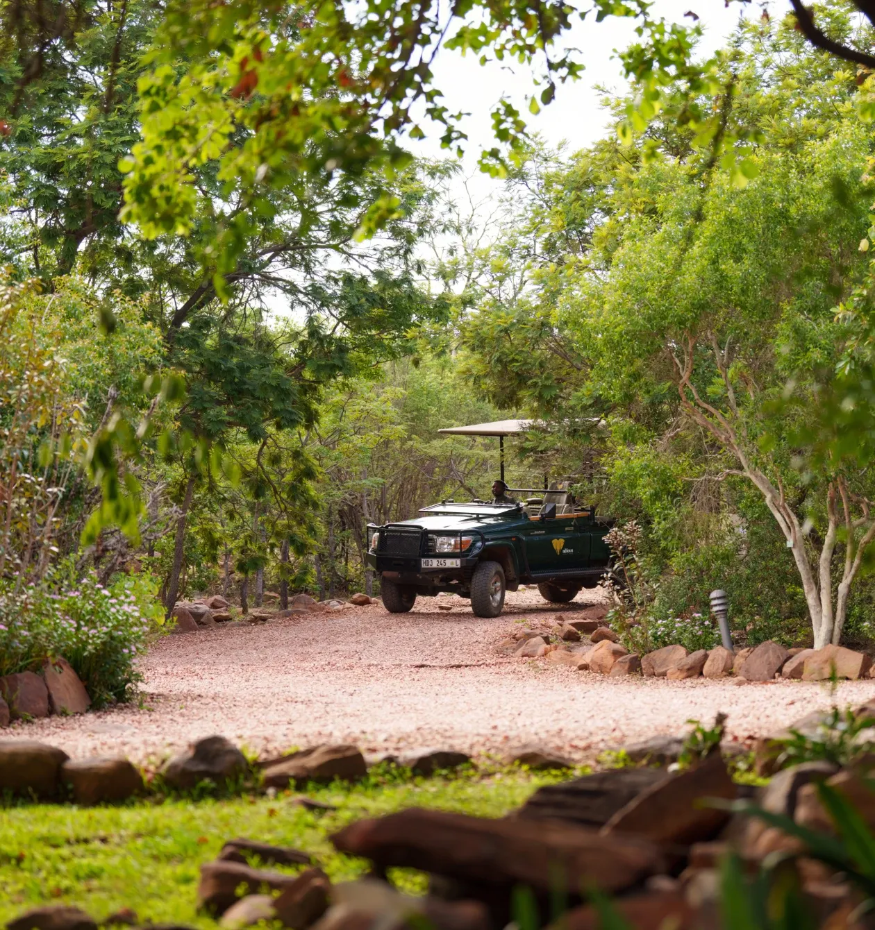 Destination | Welgevonden Game Reserve | Ndlovu Safari Lodge