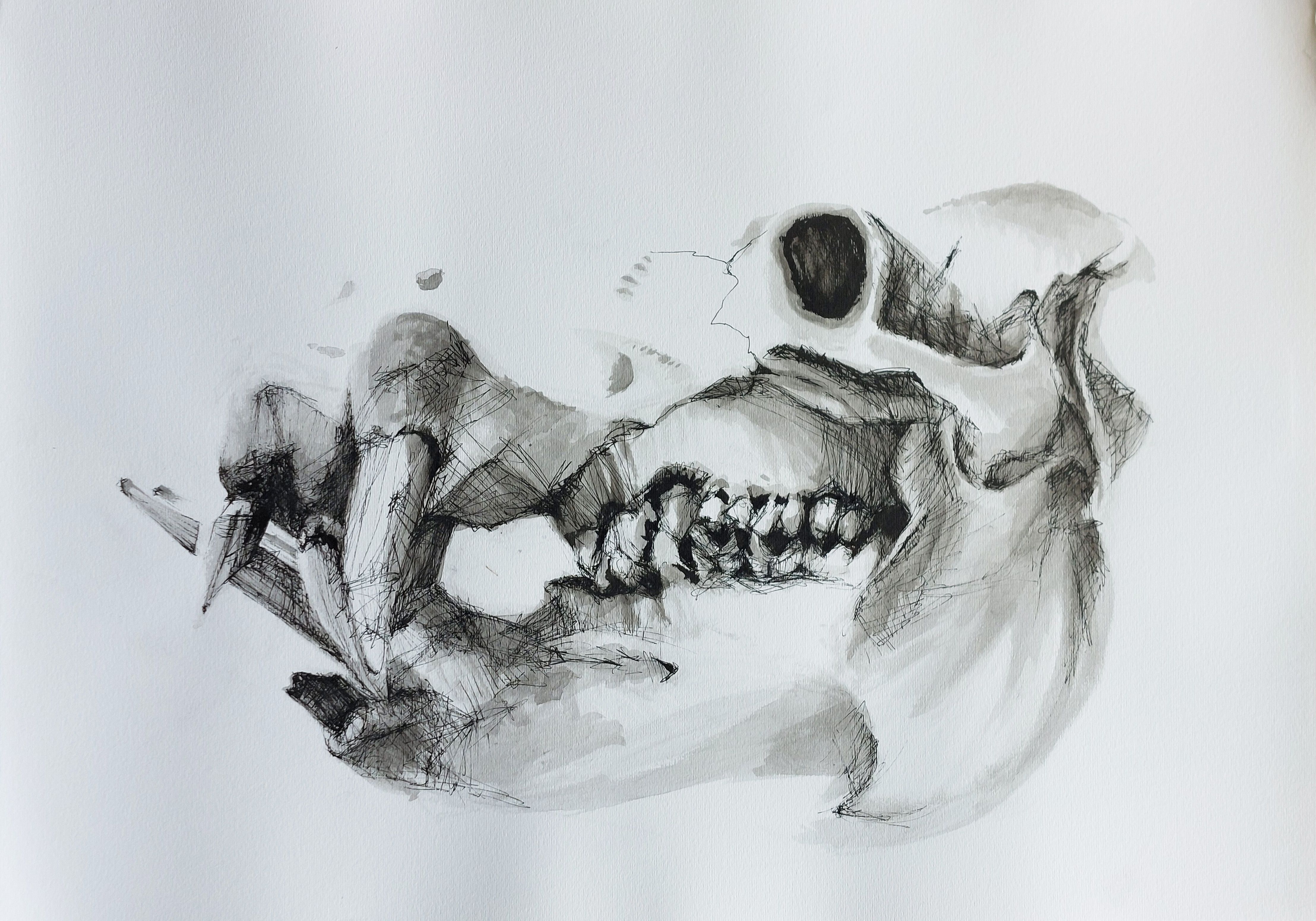 Blog post banner image