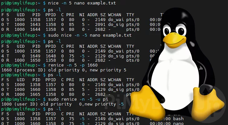 Linux Process Prioritization with Niceness