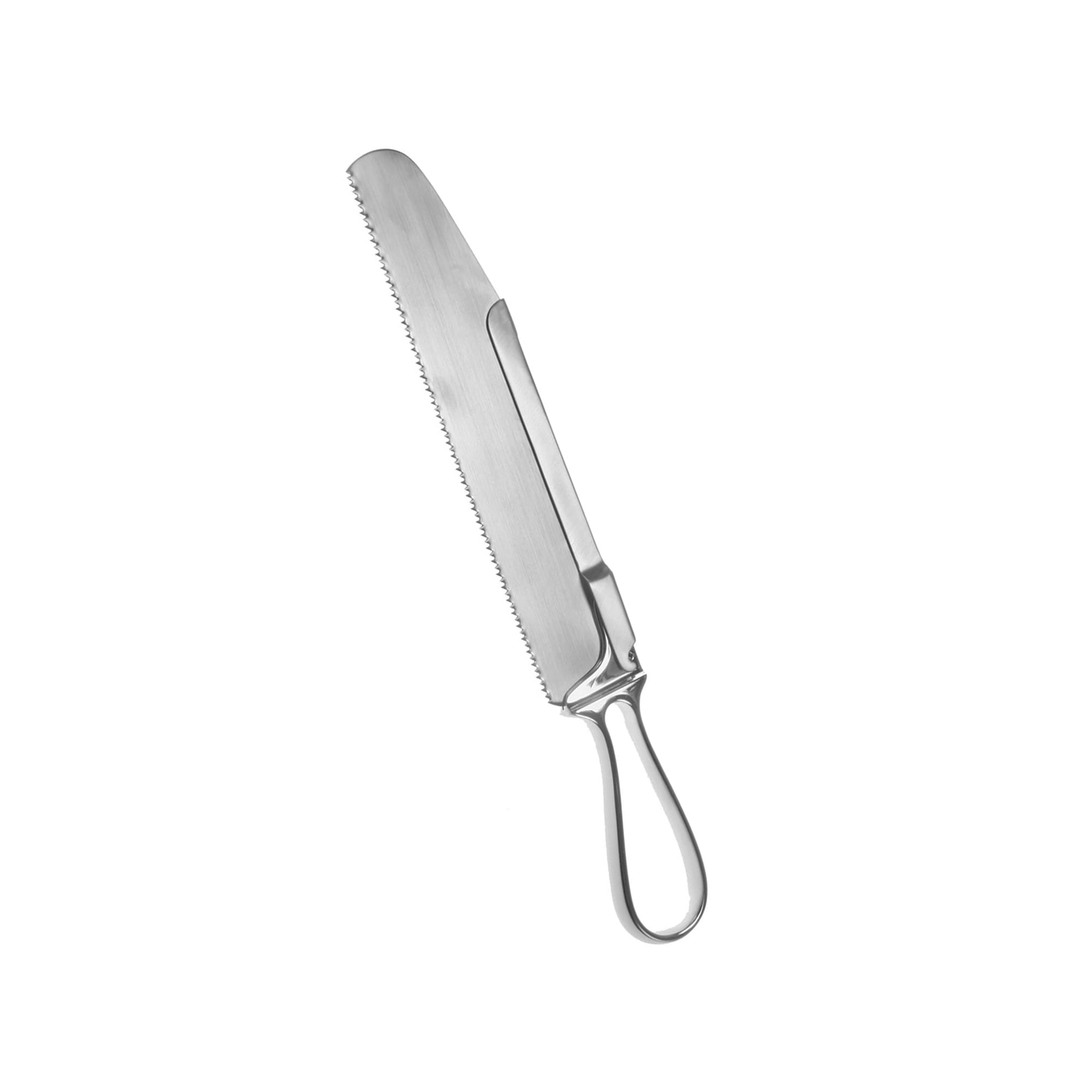 Charriere Amputation Saw – DDK Healthcare