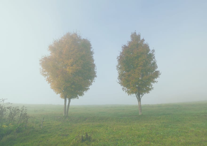 Conduct During Niddah: Overview - Nishmat Yoatzot Halacha