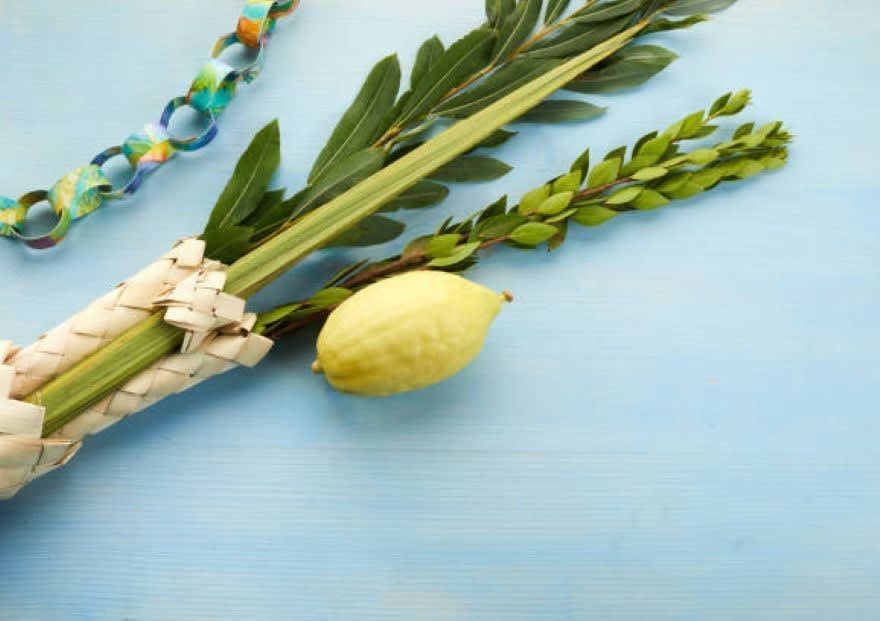 Sukkot Holiday Guide - Nishmat Yoatzot Halacha