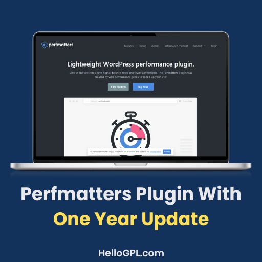 Perfmatters Plugin Activation With Key (One Year Update)