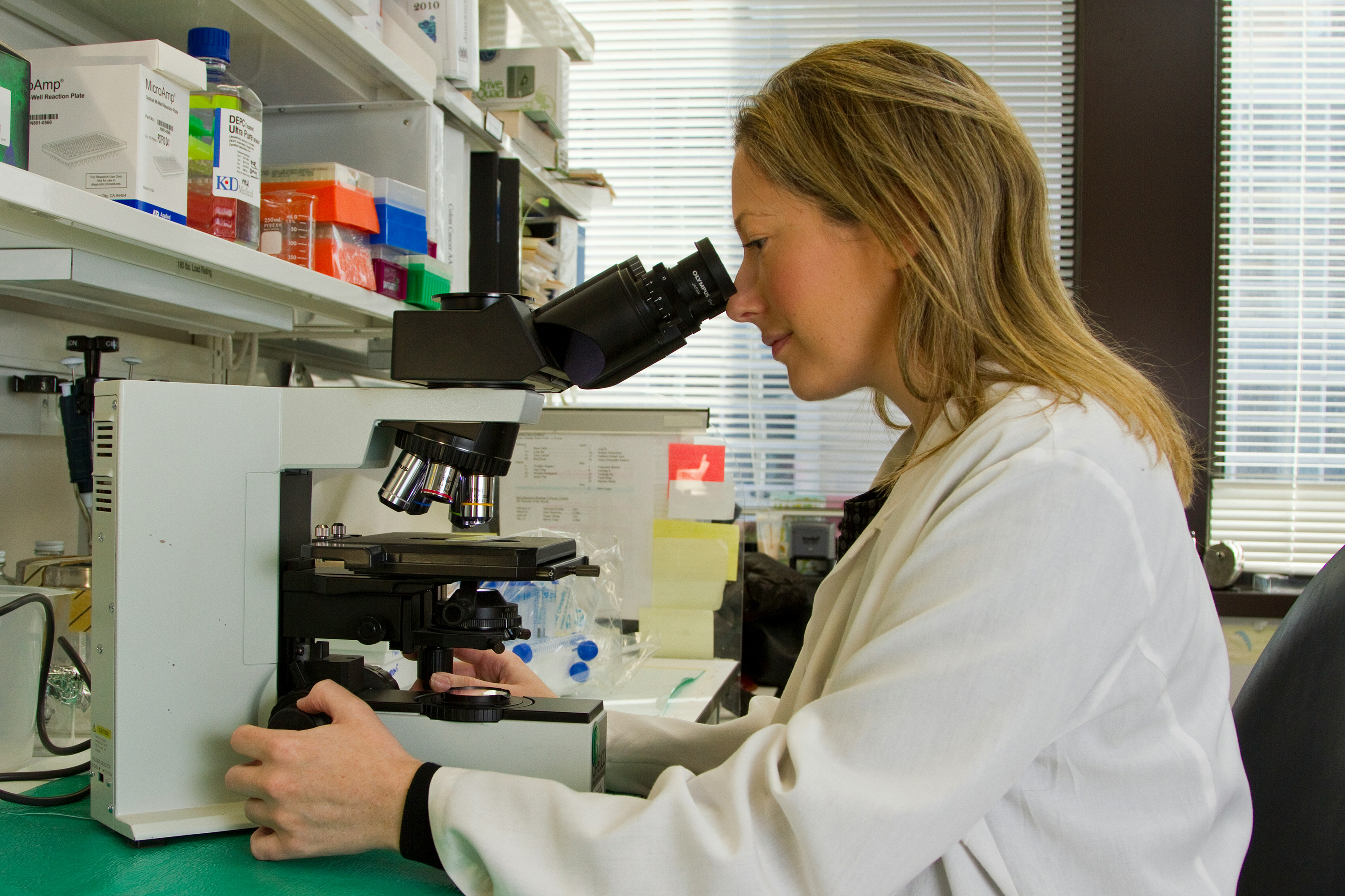 Only 22% of supplement brands share lab-test results | bodylink
