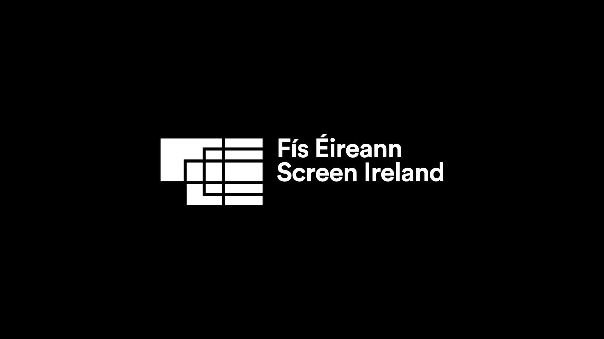 Screen Ireland secures extra funding to lift budget to €37.7 million ...