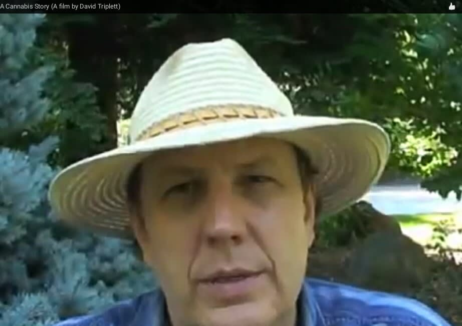 Τέλος σε Καρκίνο του Δέρματος με Χρήση Ελαίου Κάνναβης