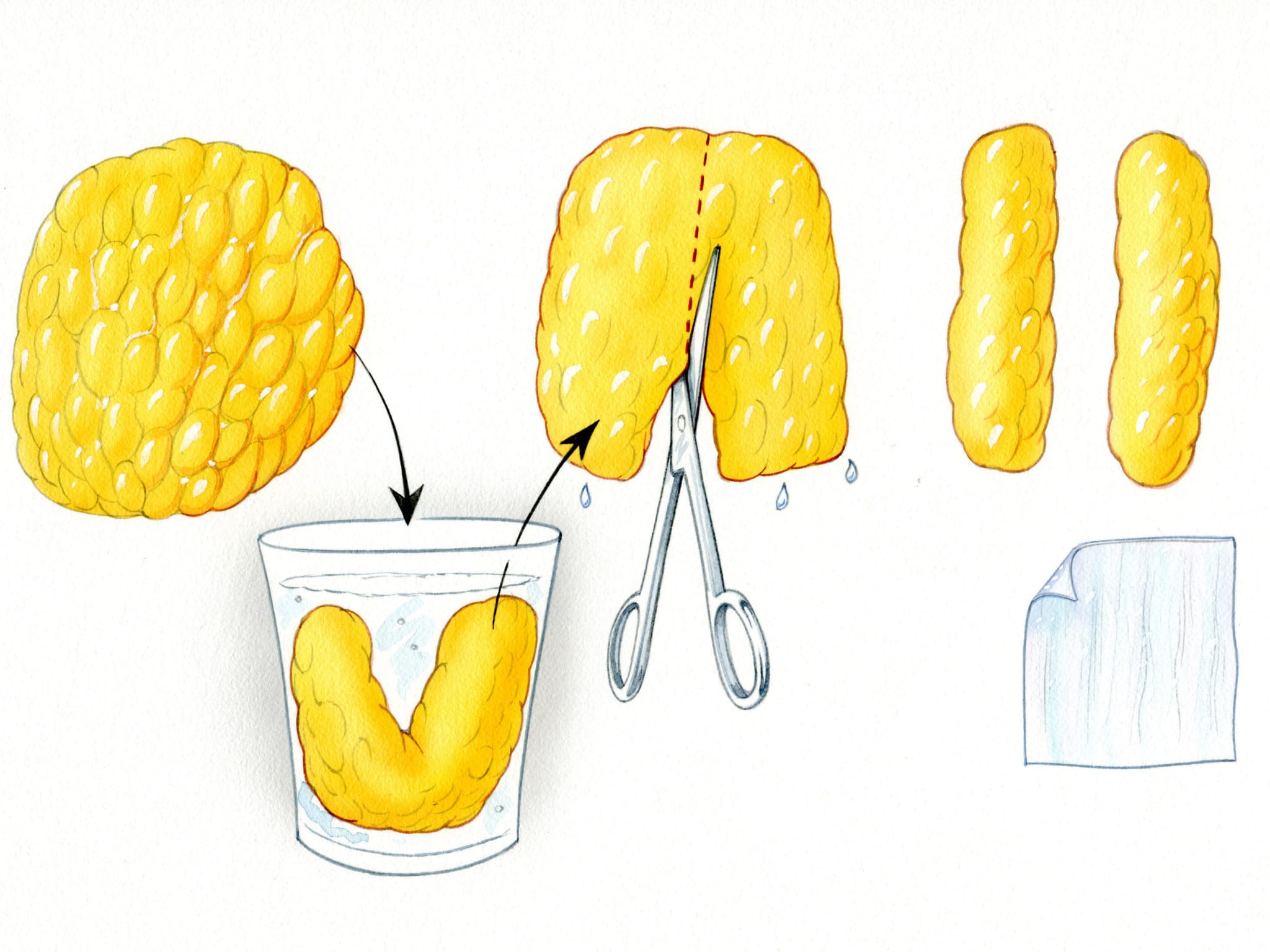 Translabyrinthine | Jackler Collection | Volumes | The Neurosurgical Atlas