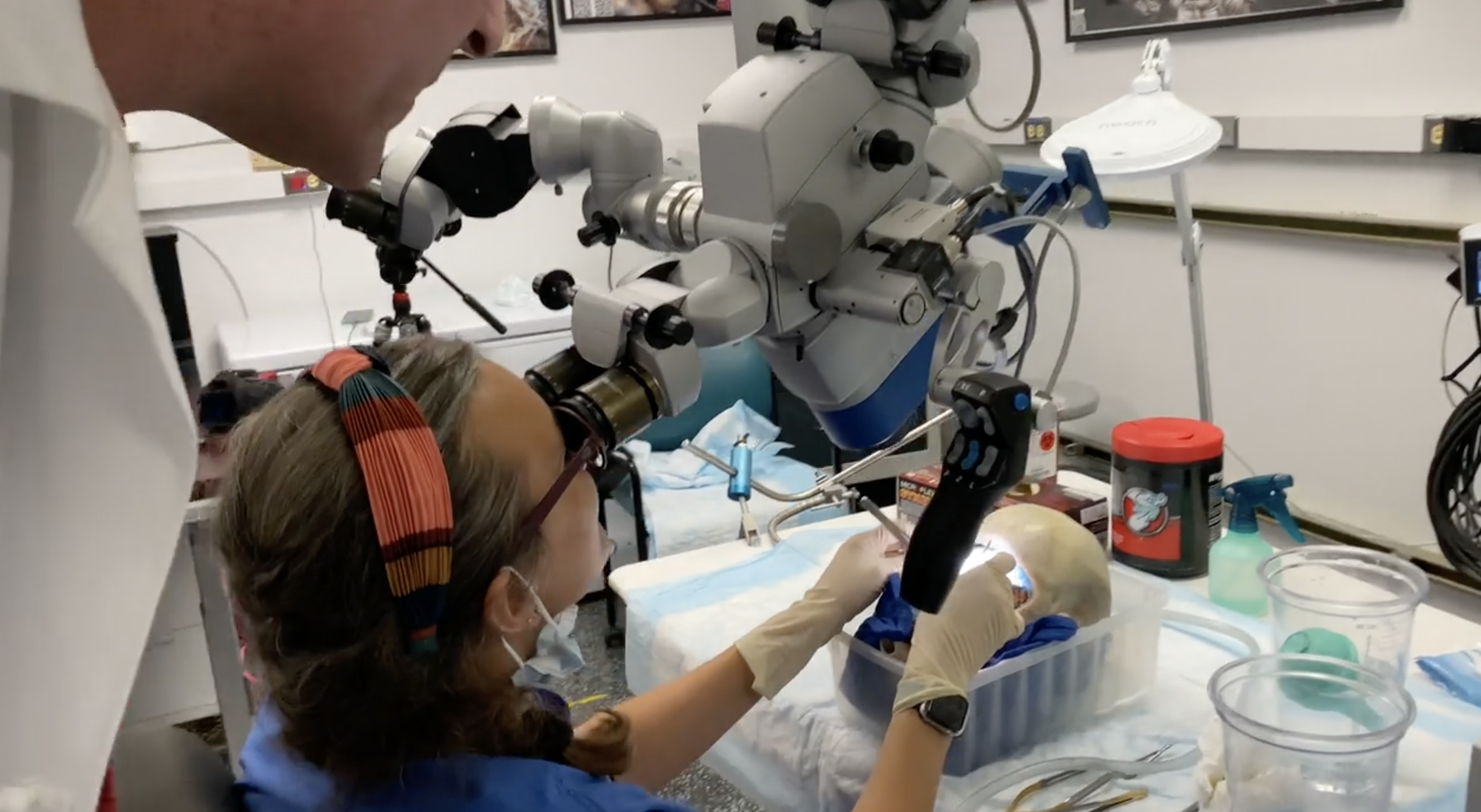 About | The Neurosurgical Atlas
