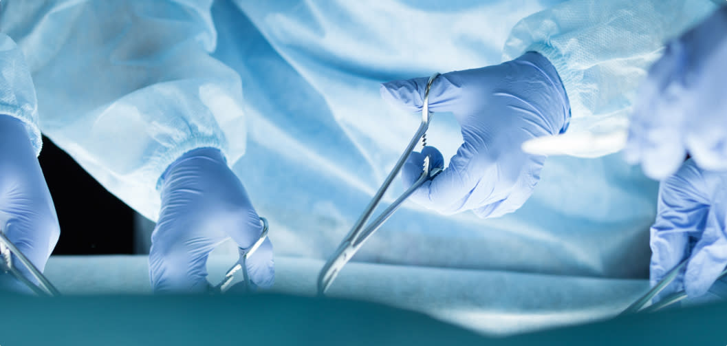 Institutions & Libraries | Pricing | The Neurosurgical Atlas