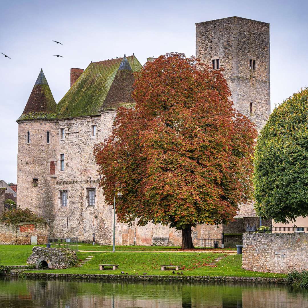 Castle Museum Of Nemours Visitparisregion