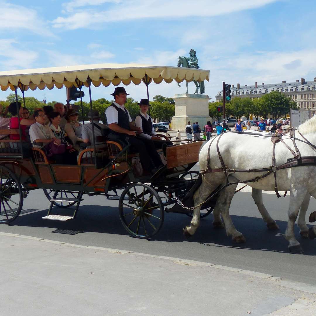Les Calèches de Versailles (horse-drawn carriage rides) | VisitParisRegion