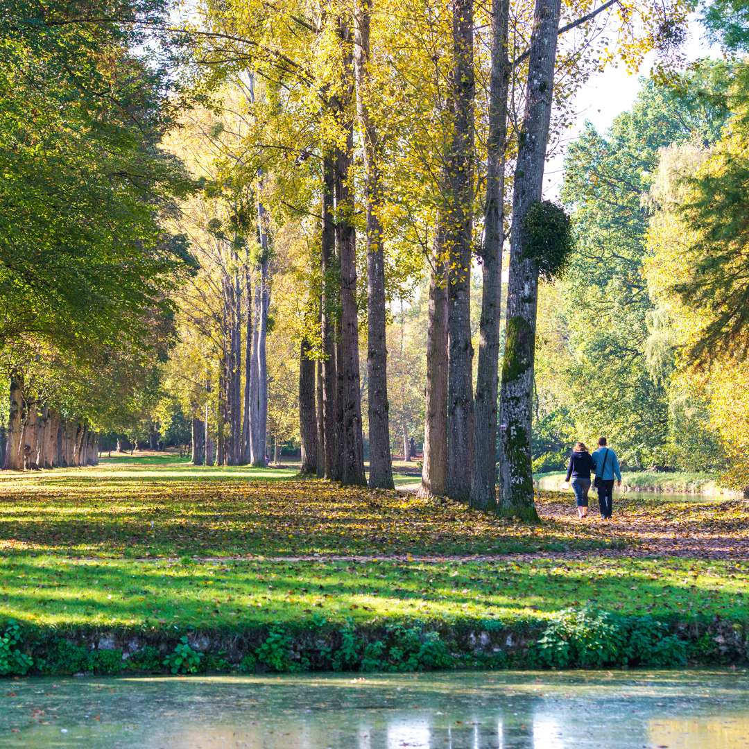 The top 5 forests and natural parks in Paris Region | VisitParisRegion