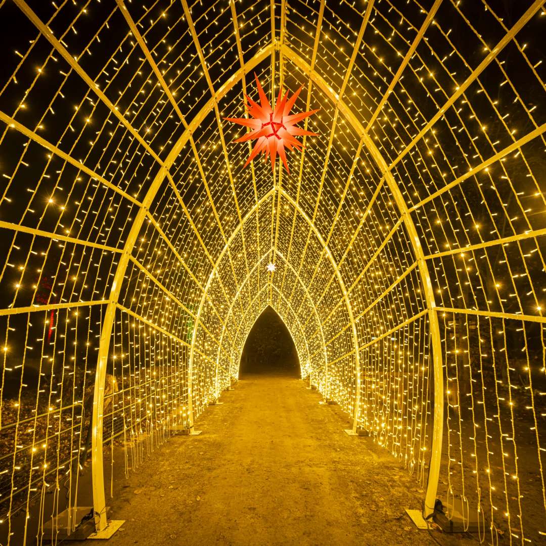 The most beautiful light shows in Paris Region | VisitParisRegion