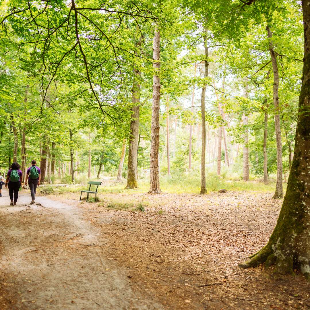 Fancy hiking in Paris Region? | VisitParisRegion