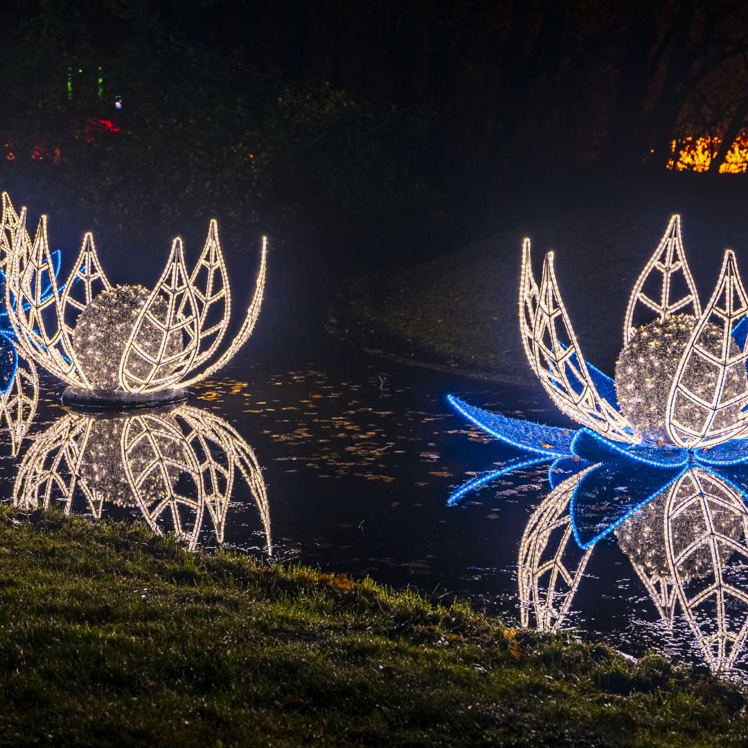 Lumières en Seine | VisitParisRegion