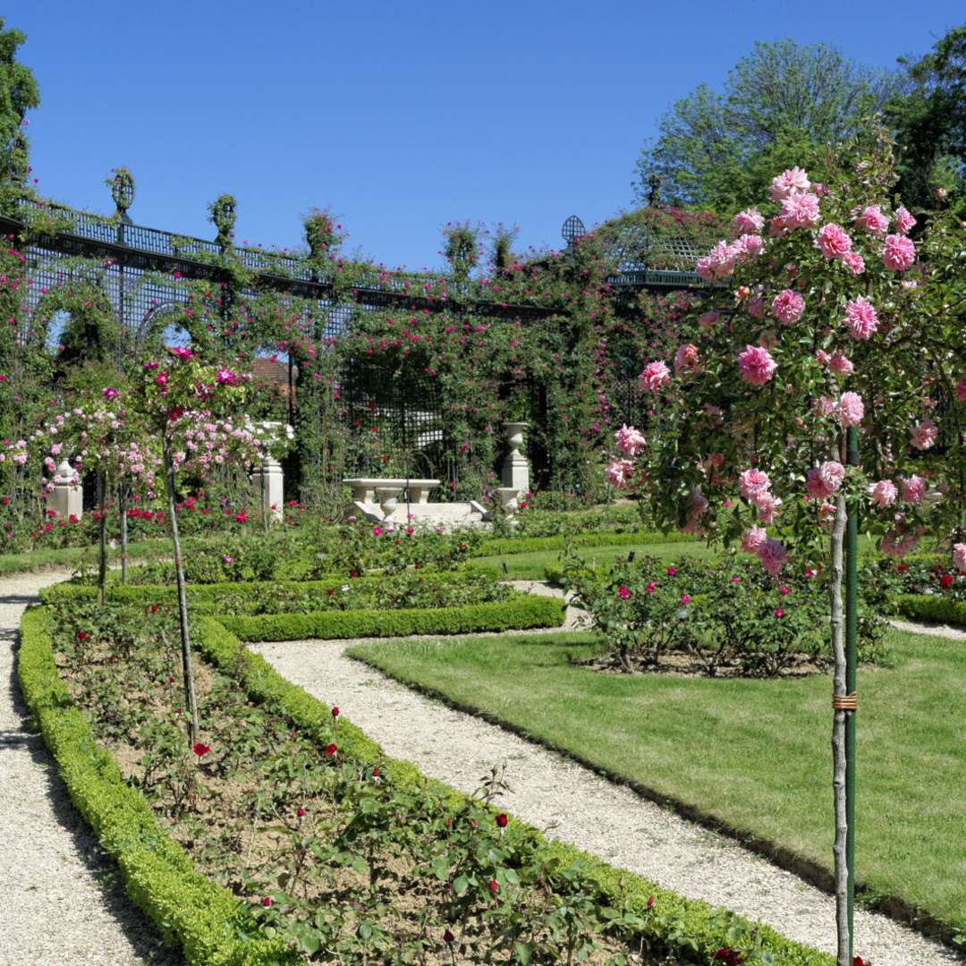 Roseraie du Val-de-Marne | VisitParisRegion
