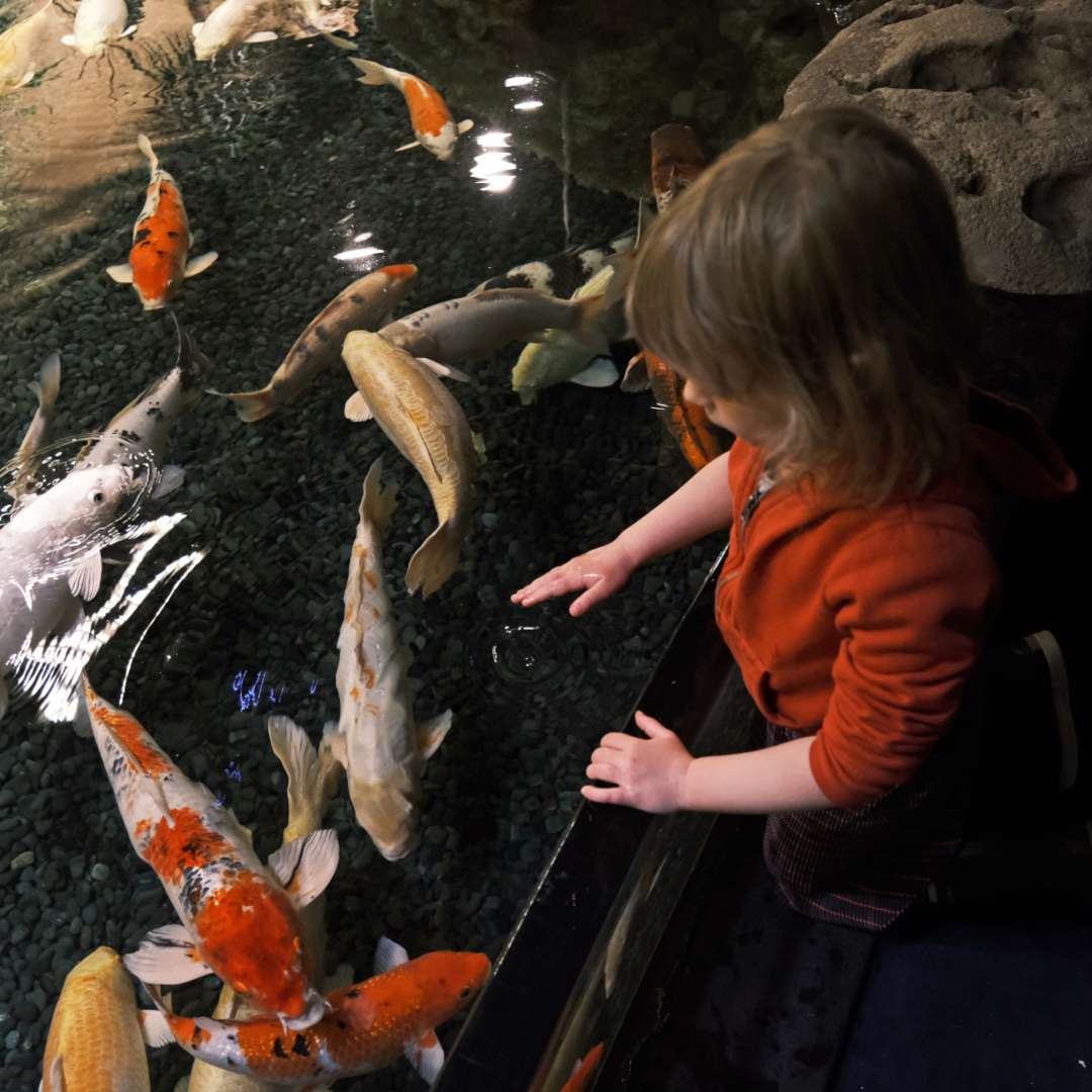 Aquarium de Paris | VisitParisRegion