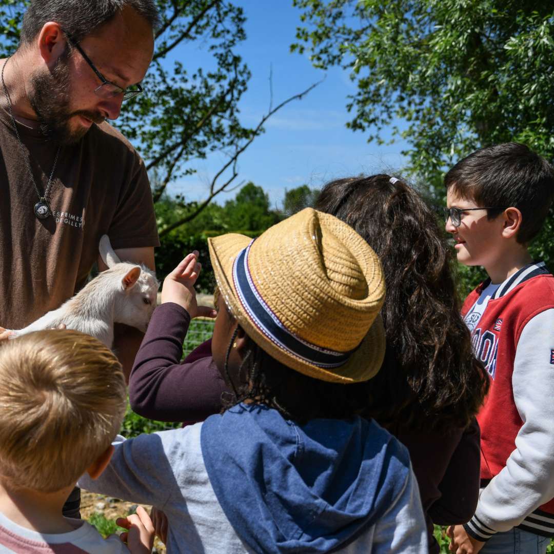 Ferme de Gally open farm | VisitParisRegion