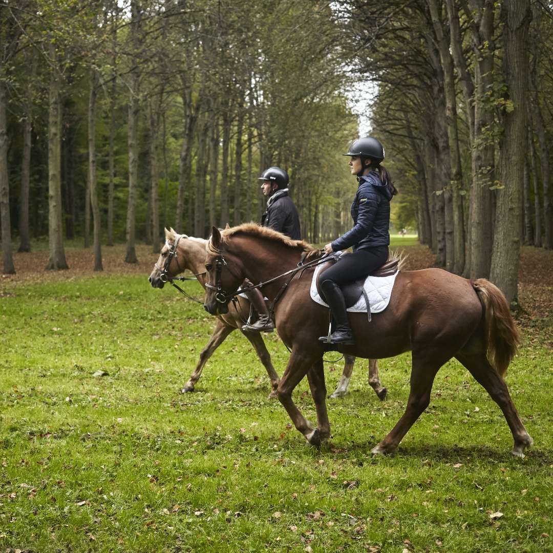 Horse in the city | VisitParisRegion