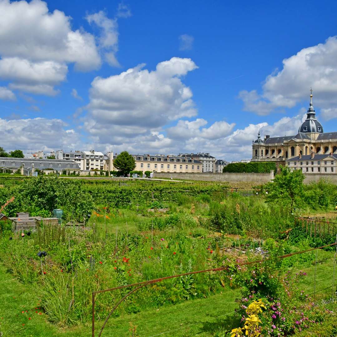 Potager du Roi | VisitParisRegion