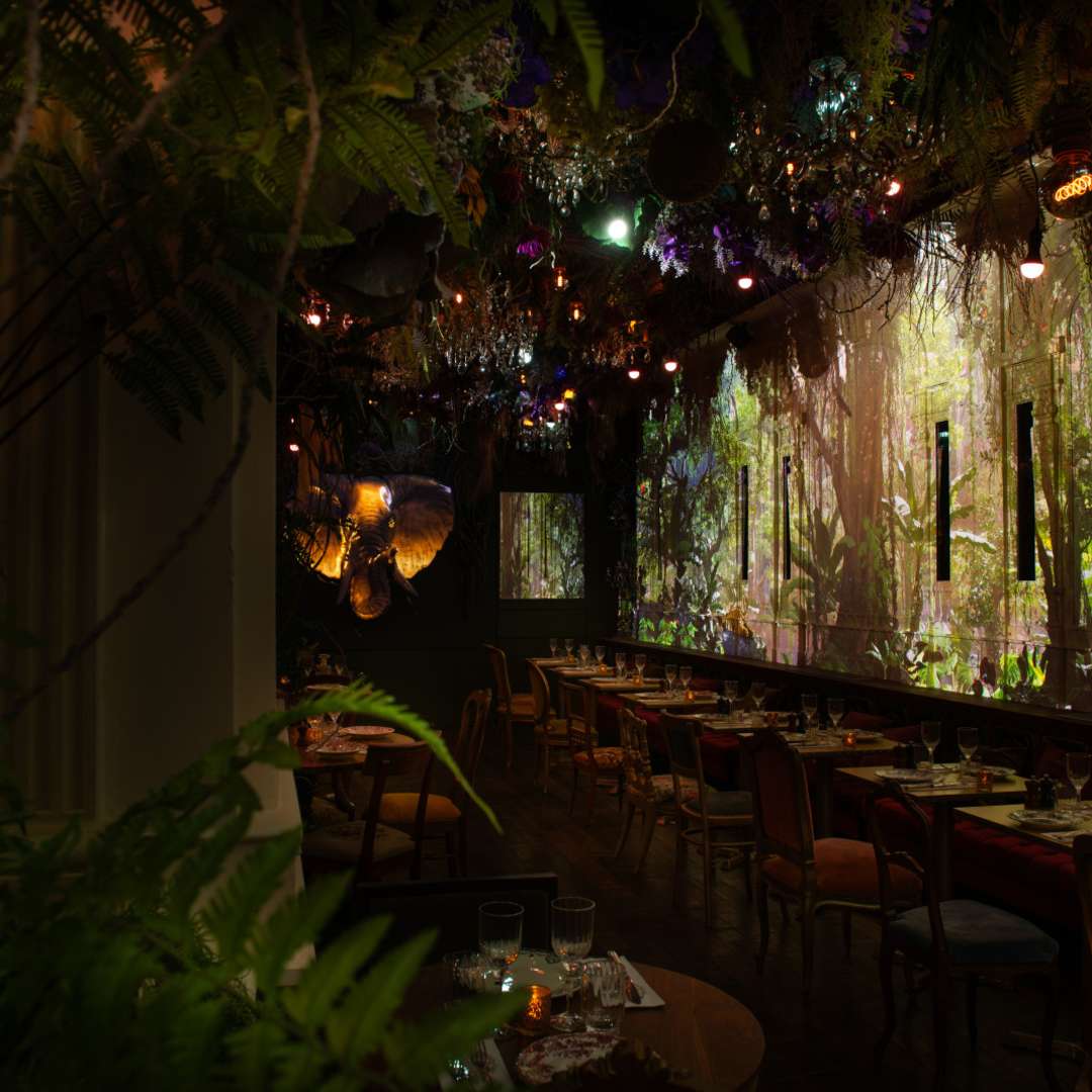 Jungle Palace | VisitParisRegion